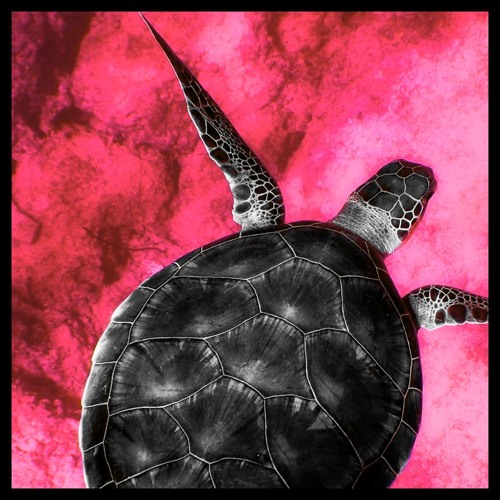 Stream Turtleneck - Paradise (FREE DOWNLOAD) by Turtleneck (UK ... Stream Turtleneck - Paradise (FREE DOWNLOAD) by Turtleneck (UK ...