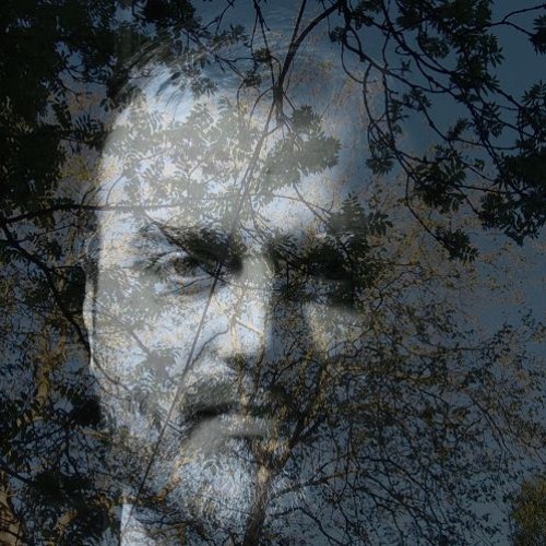 Stream EnigmaCurry | Listen to The Cosmic Dance playlist online for ...