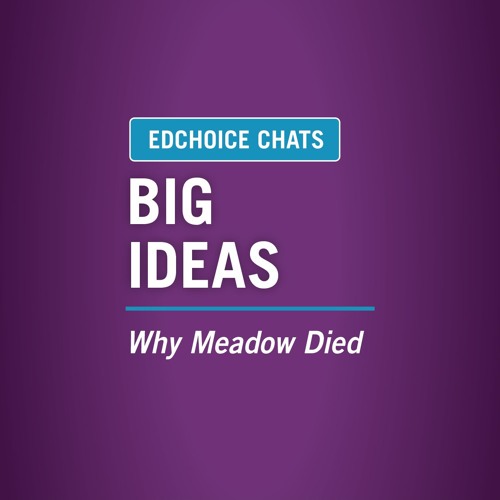 Stream episode Ep. 139: Big Ideas - "Why Meadow Died" with Max Eden by ...