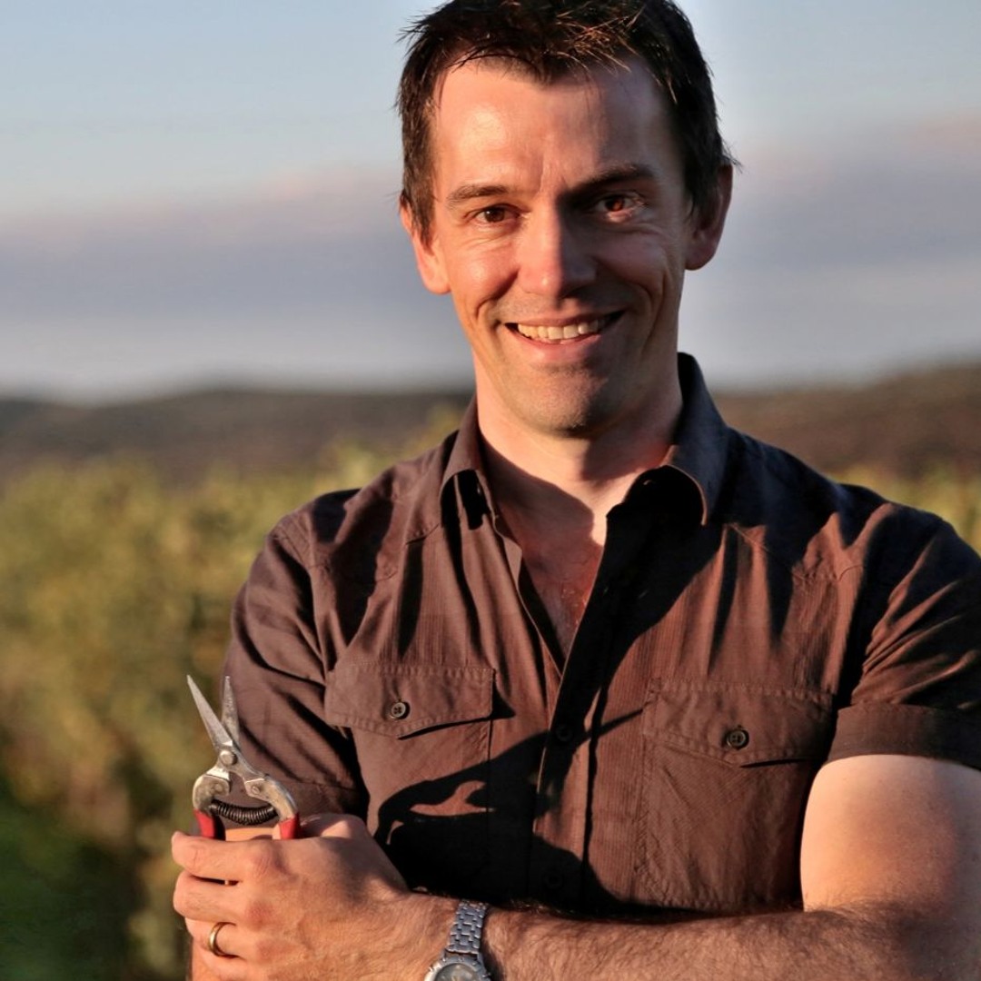 Stream Tyson Stelzer On 2019 French Sparkling Harvest & Rise Of ...