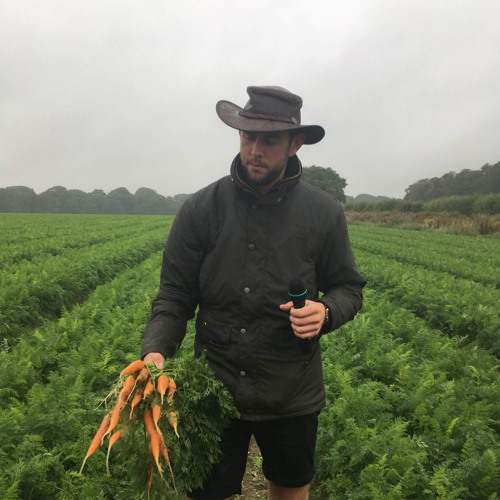 Stream Joe Rolfe talks about using beneficial insects to control aphids ...