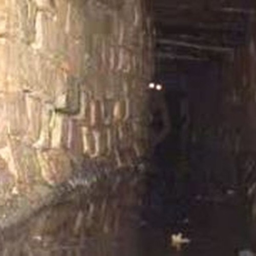 Stream Monster Nutting In The Sewer by Rapper Lil Yikes | Listen online ...