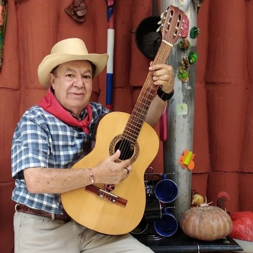 Stream Gilber "El Brujo" Castro | Listen to Música Típica Costarricense playlist online for free ...