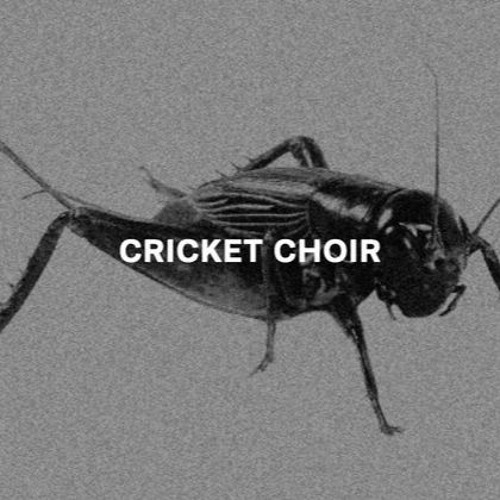 Stream Pianobook | Listen to Cricket Choir playlist online for free on ...