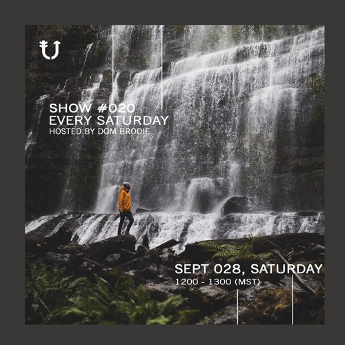 Stream Show #020 by Dom Brodie (Unique) | Listen online for free on ...
