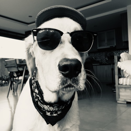 Stream House Mix October 2019 by Aaron Davies | Listen online for free ...