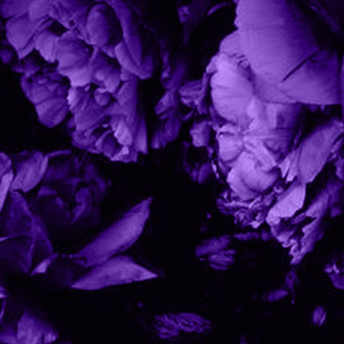 Stream Bloom (J Cole x YBN Cordae x Kendrick Lamar x Nipsey Hussle Type ... Stream Bloom (J Cole x YBN Cordae x Kendrick Lamar x Nipsey Hussle Type ...