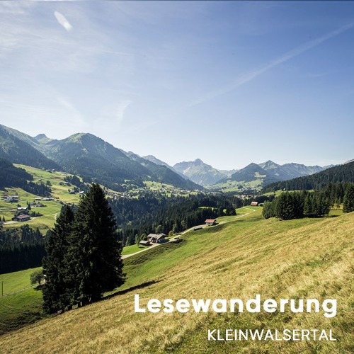 Stream Lesewanderung durch das Kleinwalsertal | Track 7: Wasserfall ...