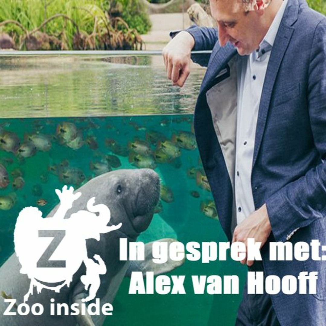 Stream Zoo Inside #50 - In gesprek met: Alex van Hooff, directeur ...