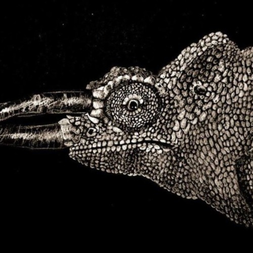 Stream Homewrecker (Anderson Mill Pub, 4-9-16) by Unloader | Listen ...