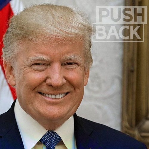 Stream Trump meddled in Ukraine, and he’s not alone by Pushback with Aaron Mate | Listen online ...