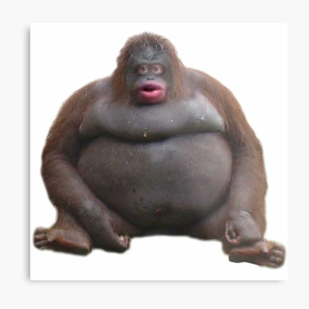 Stream uh oh stinky by AnythingTypeBeats | Listen online for free on ...