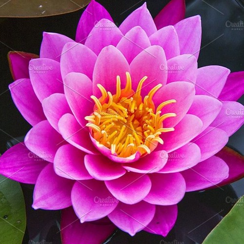 Stream episode Nadiprakarana Suladi - Raga:Hamsanandi by TADIPATRI ...