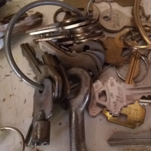 Stream The Iguanodon by Gavin Hitchins | Listen online for free on ...
