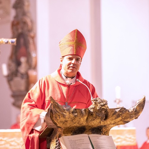 Stream Predigt von Bischof Oster zur Einführung der Domkapitulare by ...