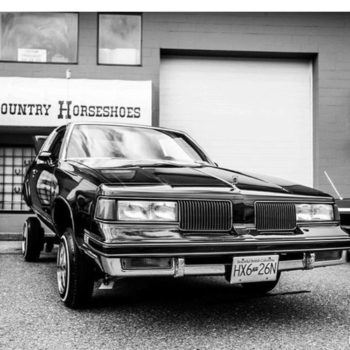 Stream G-Funk Samples - Shoreline Mafia type beats by @roge4k | Listen ...