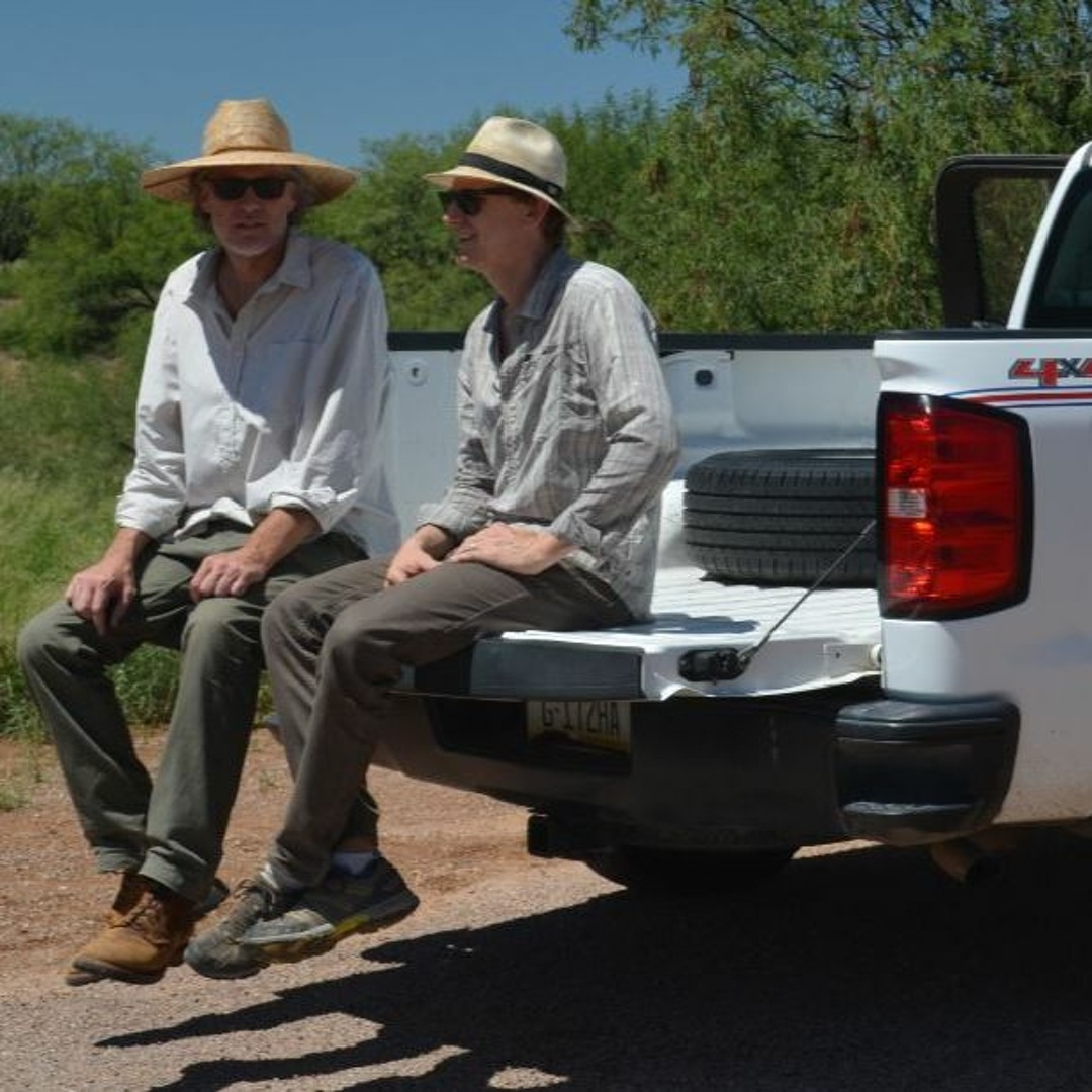 Stream episode In Patagonia, AZ, with David Seibert by Journal of the ...