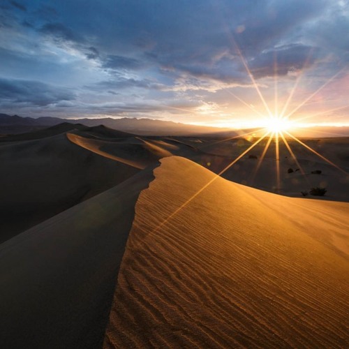 Stream Saharas Jewel - Evenant Sample Pack - Epic Orchestral by Lukas Schulte - Composer ...