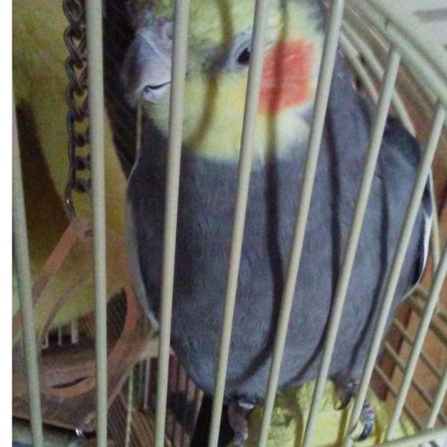 Stream yrros by MK Control | Listen online for free on SoundCloud