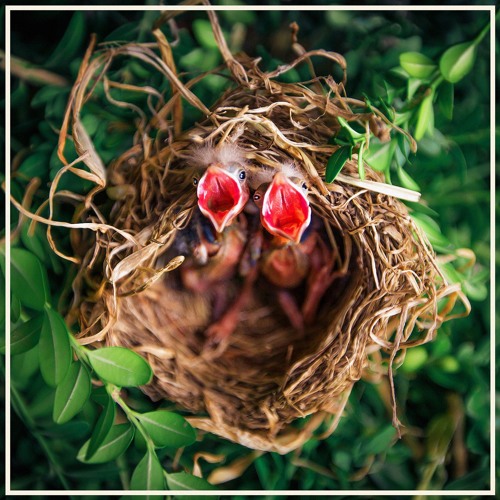 Stream L'indécis - Second Wind (AZSAHO Remix) by AZSAHO | Listen online ...