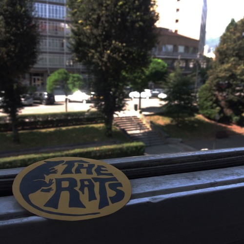 Stream The Rats | Listen to Meet The Rats (Demo) playlist online for ...