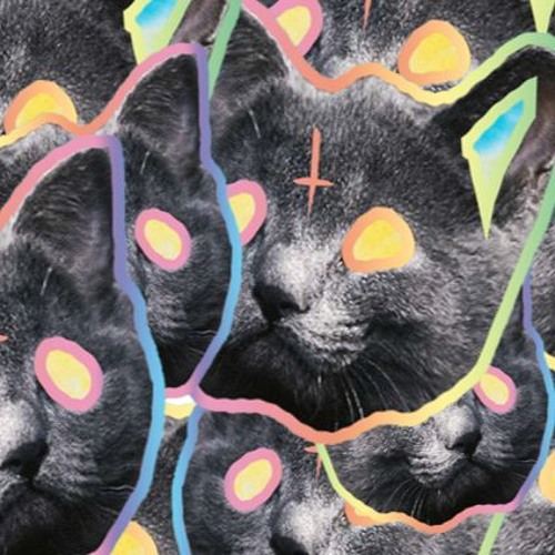 Tyler The Creator Cat Tuts