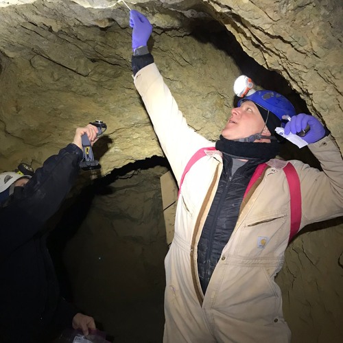 Stream Bones, Bats And Creepy Caves by The Nevada Department of ...