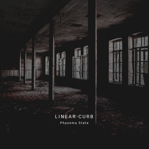 Stream Physema State by Linear Curb | Listen online for free on SoundCloud