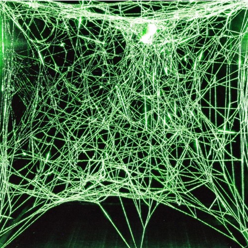 Stream Tangled Web by Markus J. Buehler | Listen online for free on ...