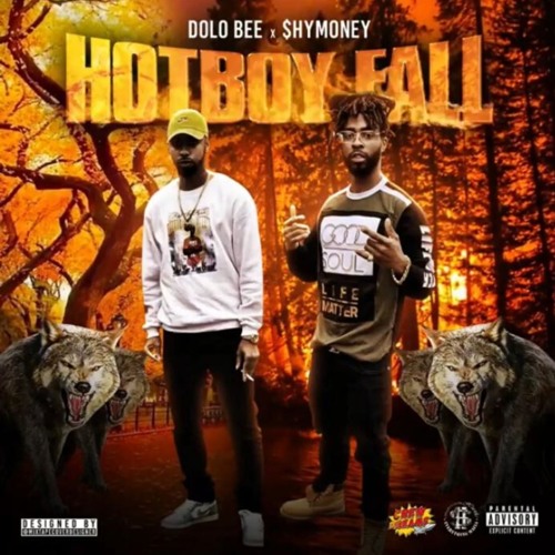 Stream Hot Boy Fall feat. Dolo Bee by $hy Money | Listen online for ...