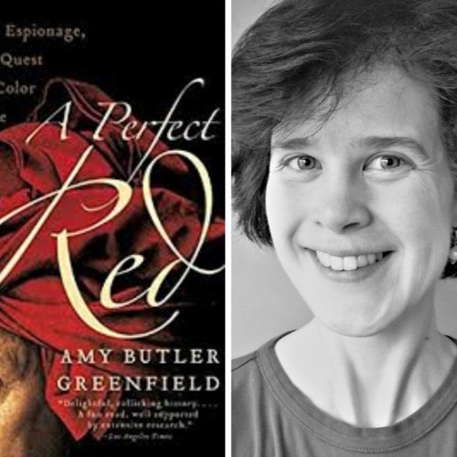 Stream episode Amy Butler Greenfield Interview by TraditionsMexico ...