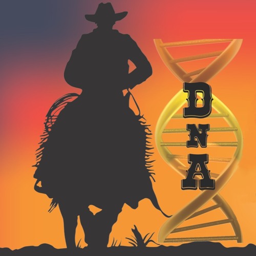 Stream DnA Country Music | Listen to First Steps playlist online for ...