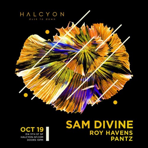 Stream 091 Halcyon SF Live - Sam Divine by Halcyon SF | Listen online ...