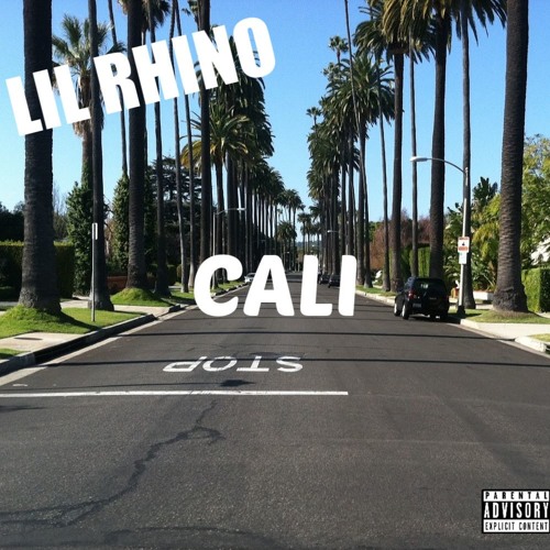 Stream CALIFORNIA by Lil Rhino | Listen online for free on SoundCloud