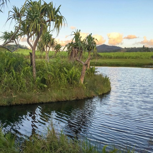 Stream Cakau ni Mana kei Uluinaviriviri - Bula Si'a by Tex Lasaro ...