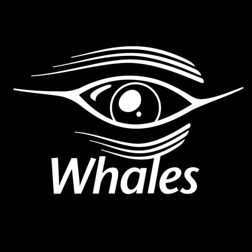 Stream Migaloo Whale Song by Whales | Listen online for free on SoundCloud
