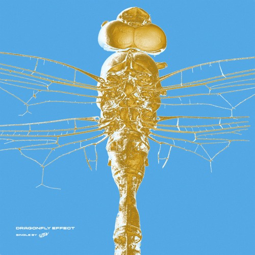 DRAGONFLY EFFECT (Prod. By Young Grizzly) - Listen to music