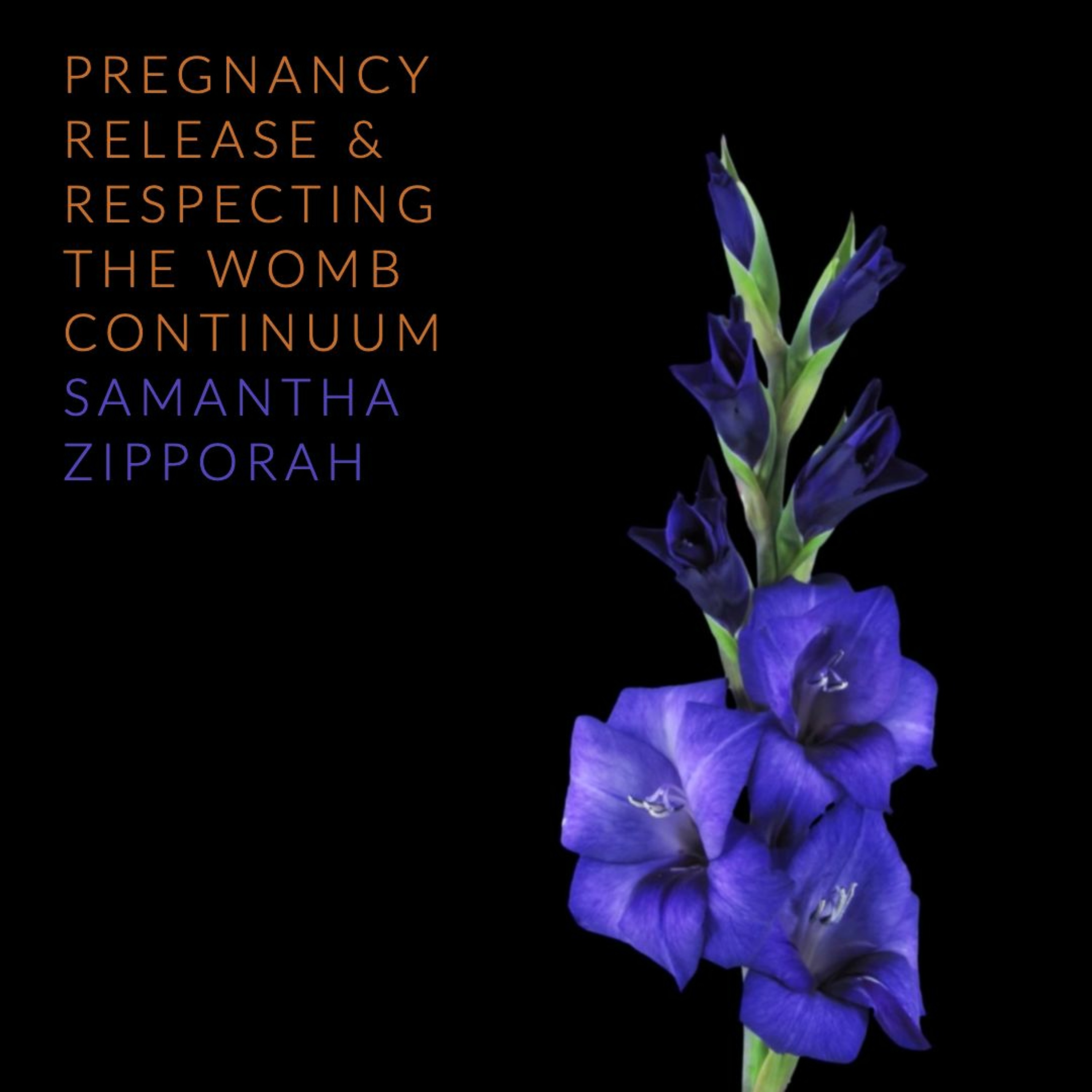 Samantha Zipporah: Pregnancy Release & Respecting The Womb Continuum from Last Born In The ...