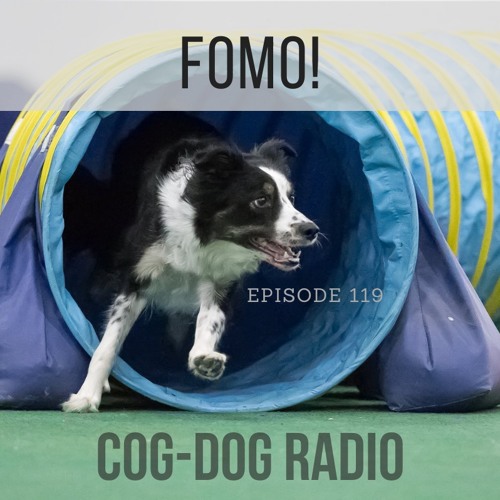 Stream FOMO by Cog-Dog Radio | Listen online for free on SoundCloud