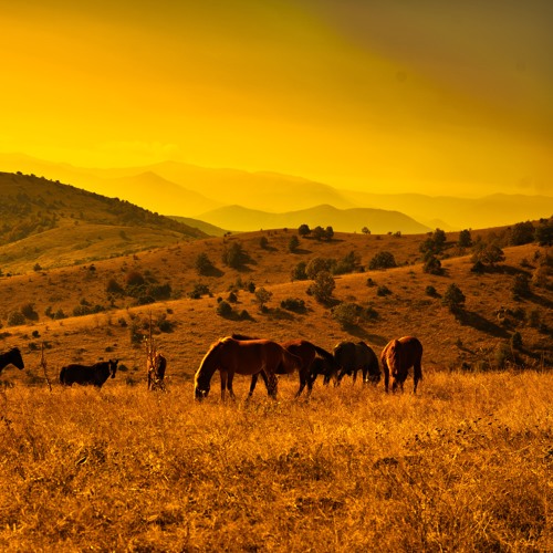 Stream Miki - Majko - Darko Lazik Cover by S E N D L E T T E R S ...