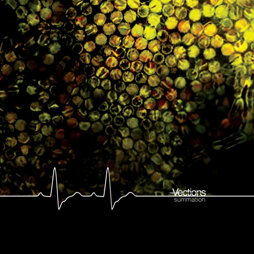 Stream Signs by Vections | Listen online for free on SoundCloud