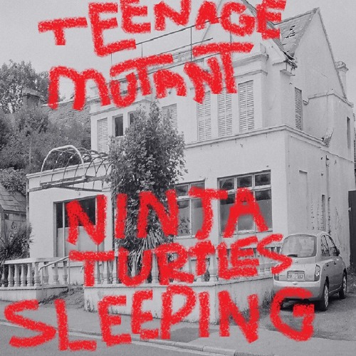 Stream Teenage Mutant Ninja Turtles Sleeping by Dividends_Asmr | Listen ...