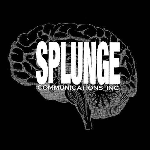 Stream 12 Skydiving In My Heart (Triple Forbidden Taboo) by Splunge ...