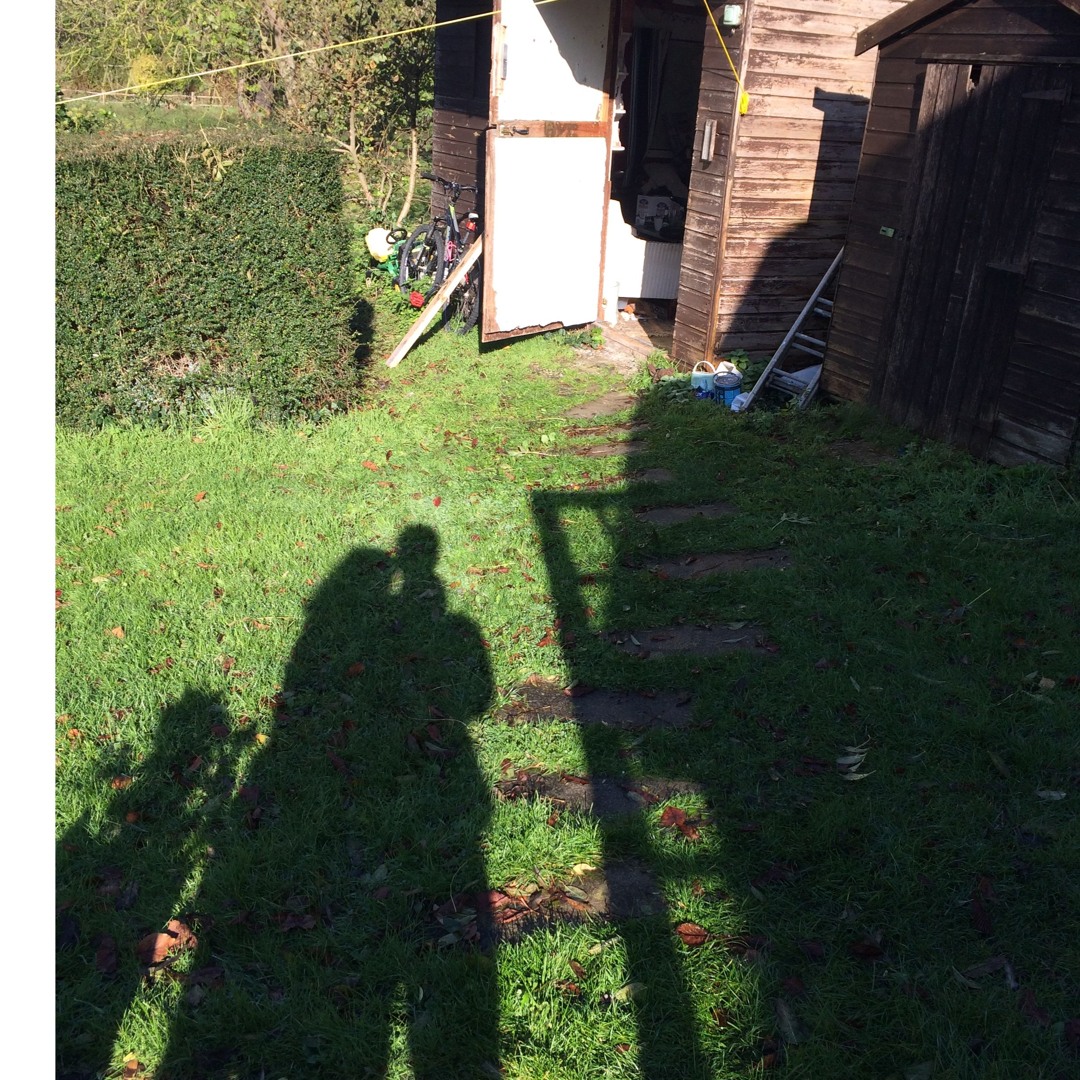 Stream I Lost My Mind (Feat. Rob Carden x Alex Woods) by FERNERROSE ...