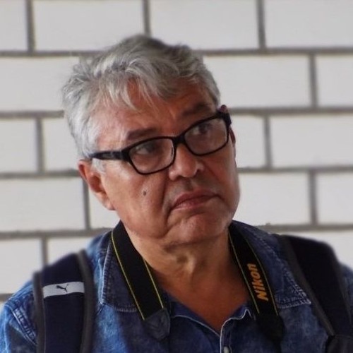 Stream Manlio Octavio Cobos Orozco. Desigualdad por edad. ECOSUR by ...