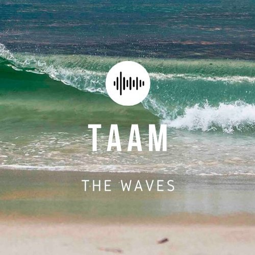Stream TAAM - The Waves (preview) by TA•AM | Listen online for free on ...