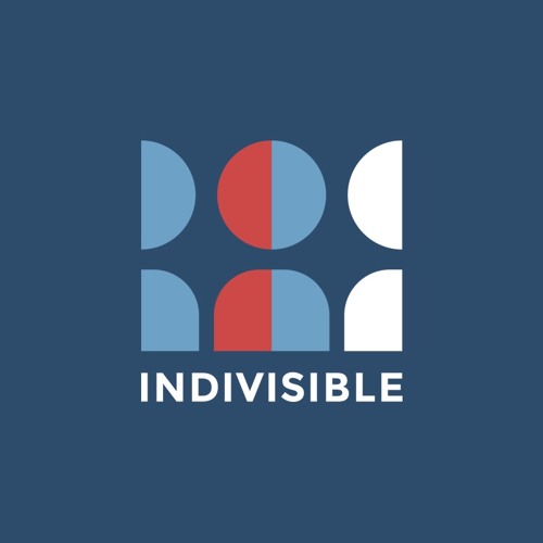 Stream INDIVISIBLE OH Dist 12 & 3- M Lewis, M Neiman by GrassRoot Ohio ...