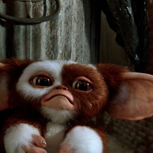 Stream Zhivko Bozdanski | Listen to Free Gizmo playlist online for free ...