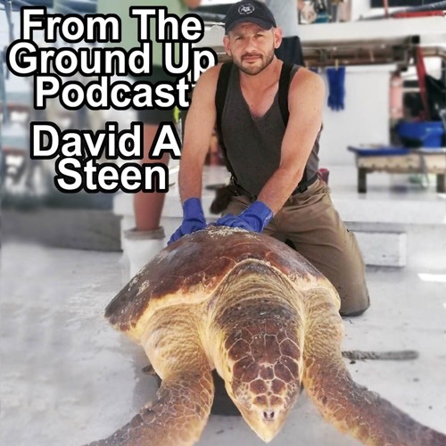 Stream episode Snake Myths w/ Dr. David A. Steen Wildlife Scientist by ...