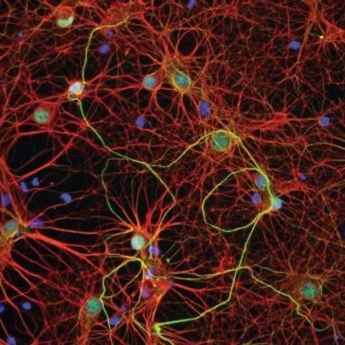 Stream Dj KsK CandyFlip 2019 by Dj KSK | Listen online for free on ...